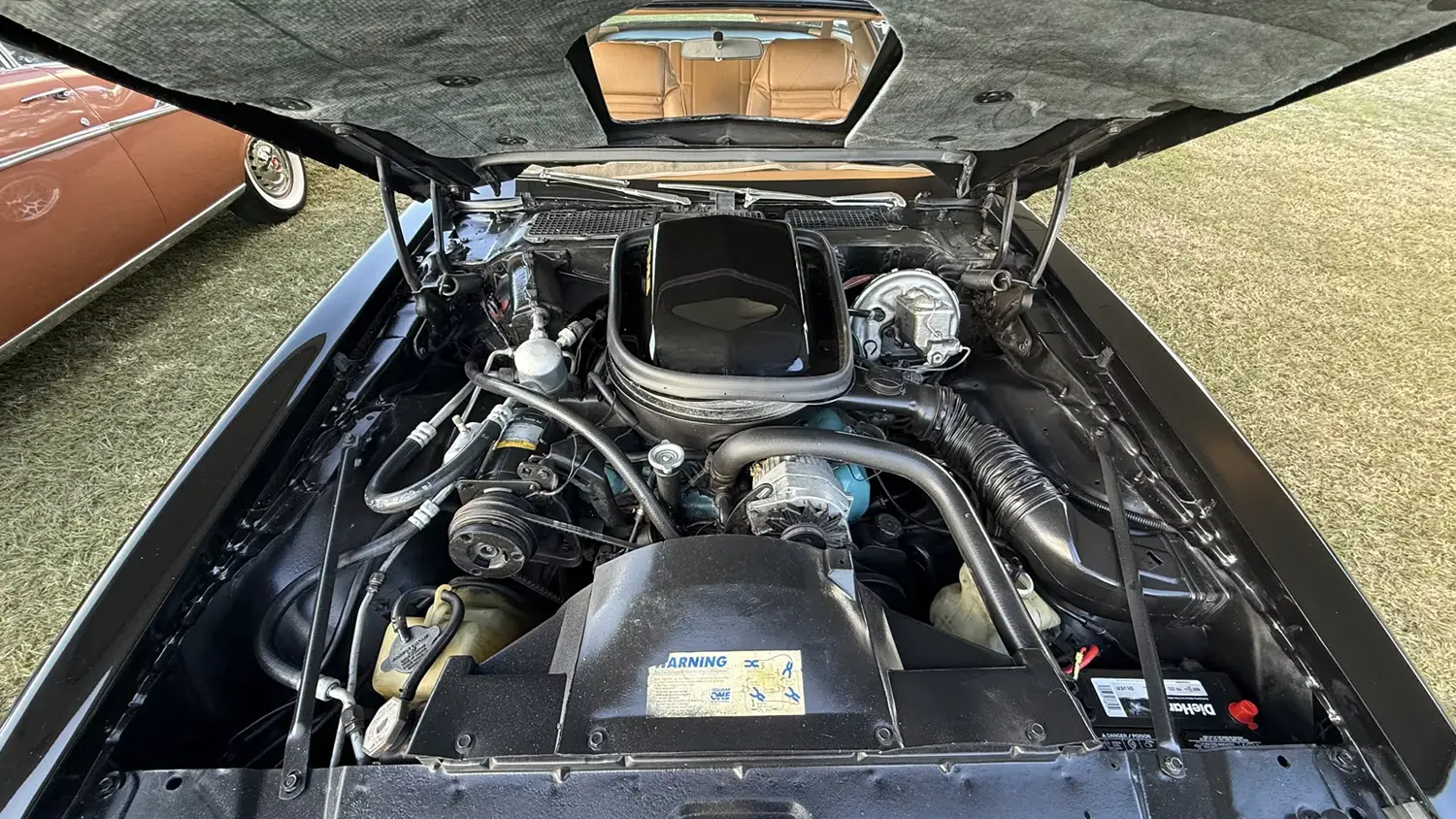 Golden Era Rebel: This 1979 Pontiac Trans Am Coupe Rules | en.wheelz.me